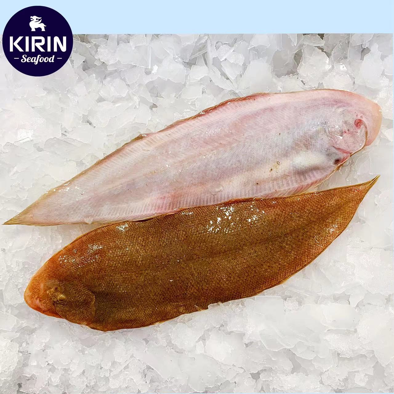 Frozen Sole Fish 500g-eBest-other brands