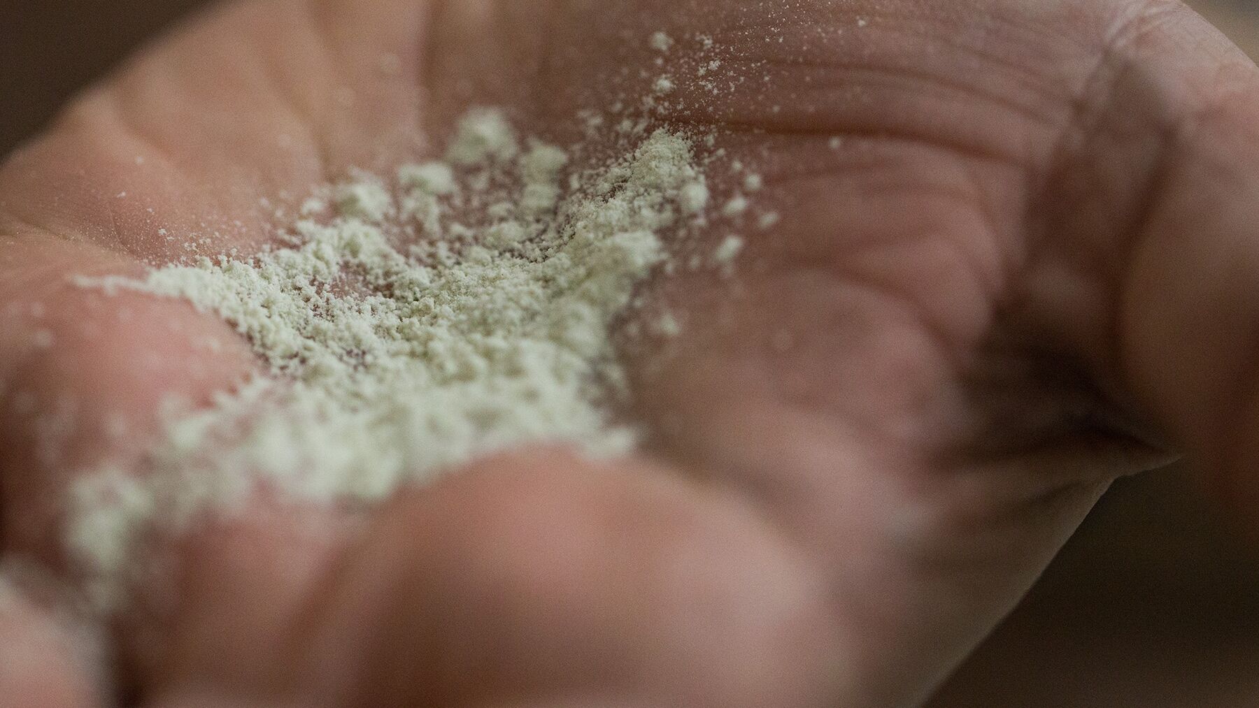Deodorant Powder – LUSH